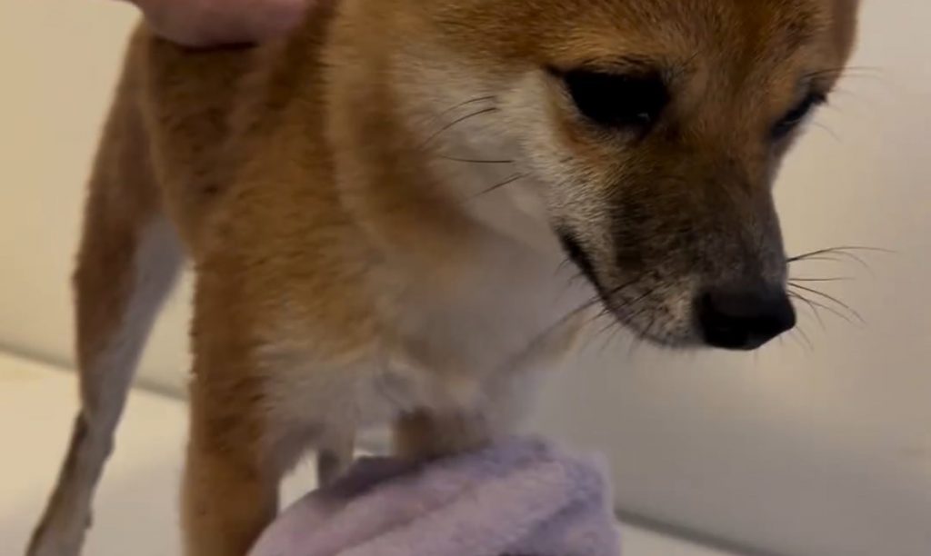 頑張ってお風呂に入りました | equall LIFE