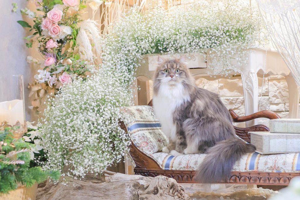 【インタビュー】ミカエルちゃん編 | equall LIFE