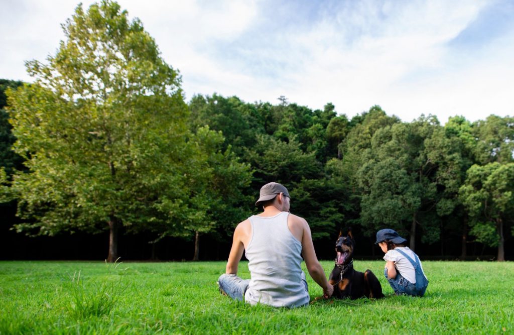 2024年9月に開催されるペットイベント | equall LIFE